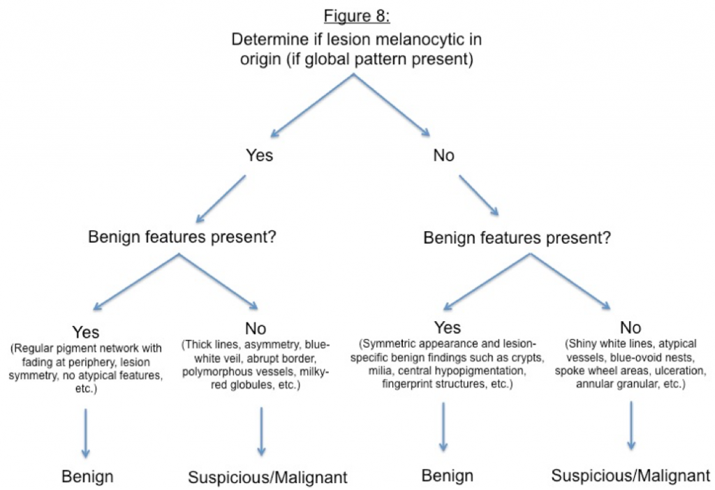 Practical Dermoscopy – Part 1 - Next Steps in Dermatology