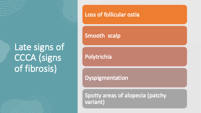 Scarring Hair Loss: CCCA and Androgenetic Alopecia Decoded - Next Steps ...